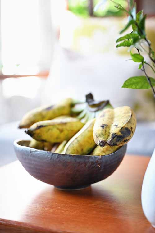 Charcoal Grill Shell Sharing Dish | KRA Sanctuary – Kra Sanctuary